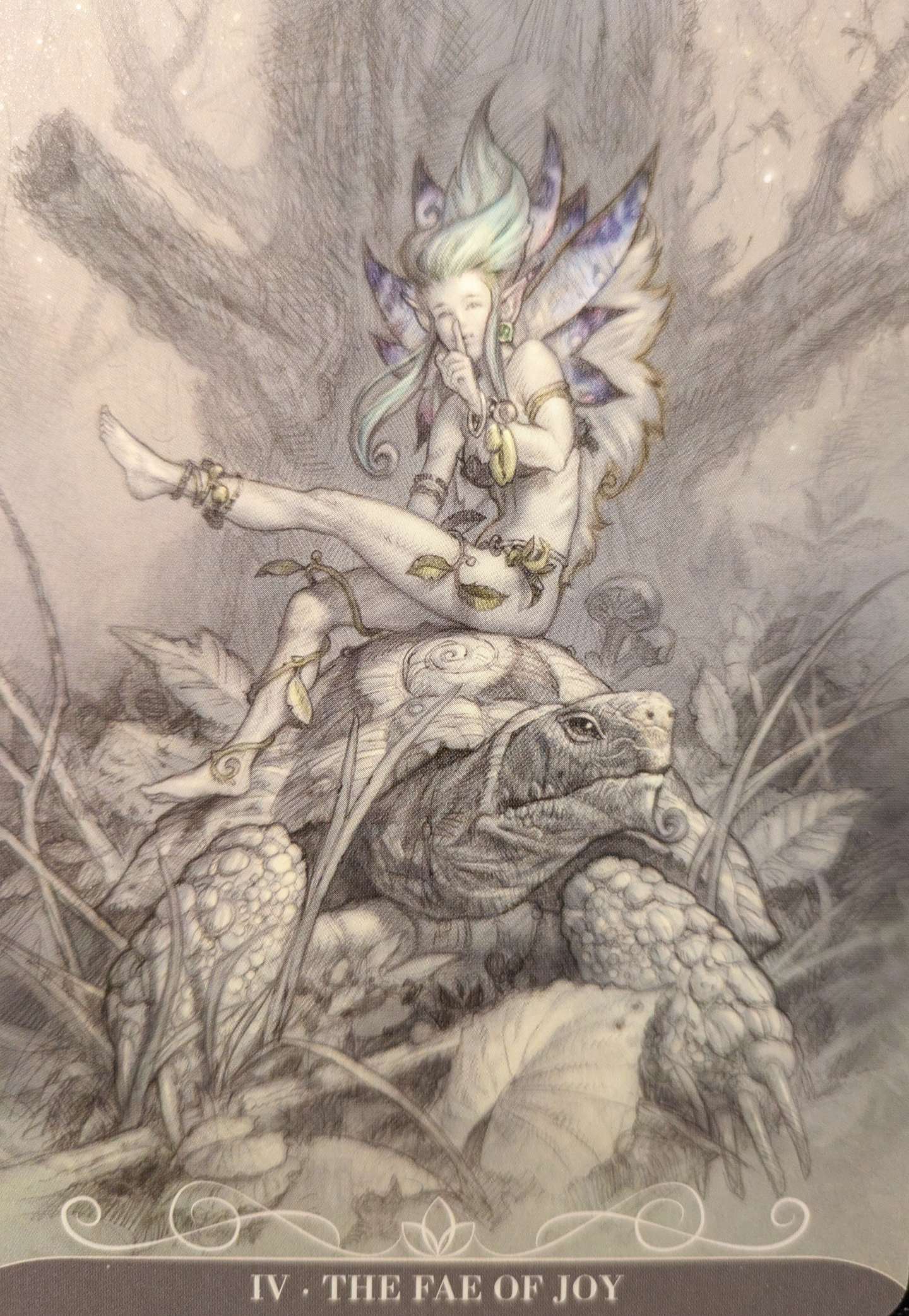 Weekly Oracle Reading (Week beginning Monday 29 December 2025): The Fae ...